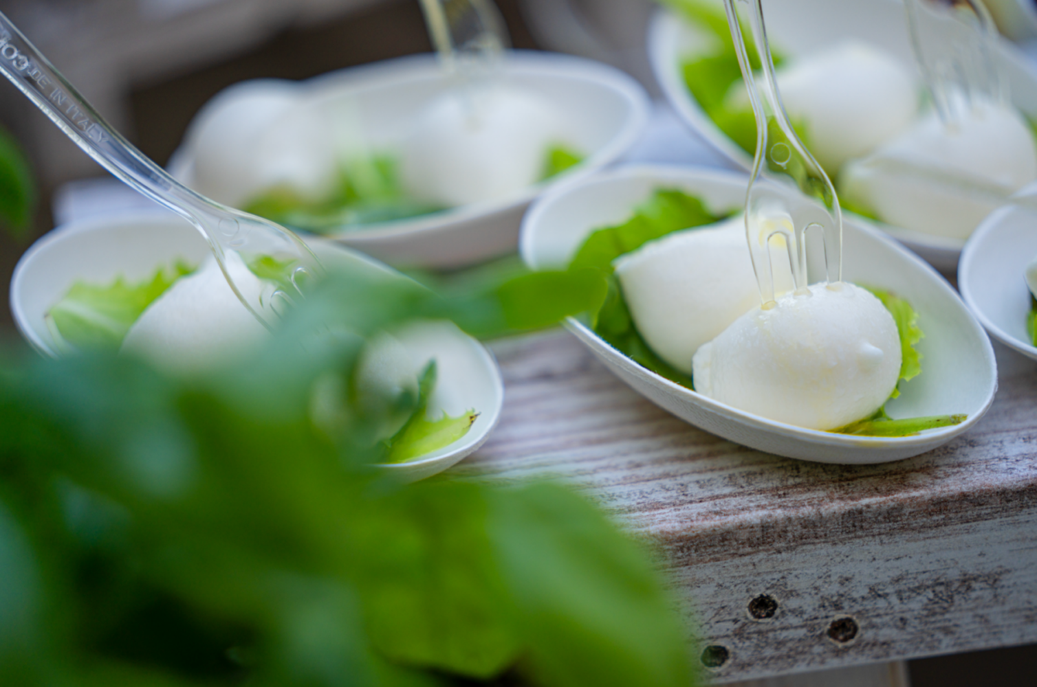 Italian menu for wedding: Borgo San Pietro Aquaeortus proposal